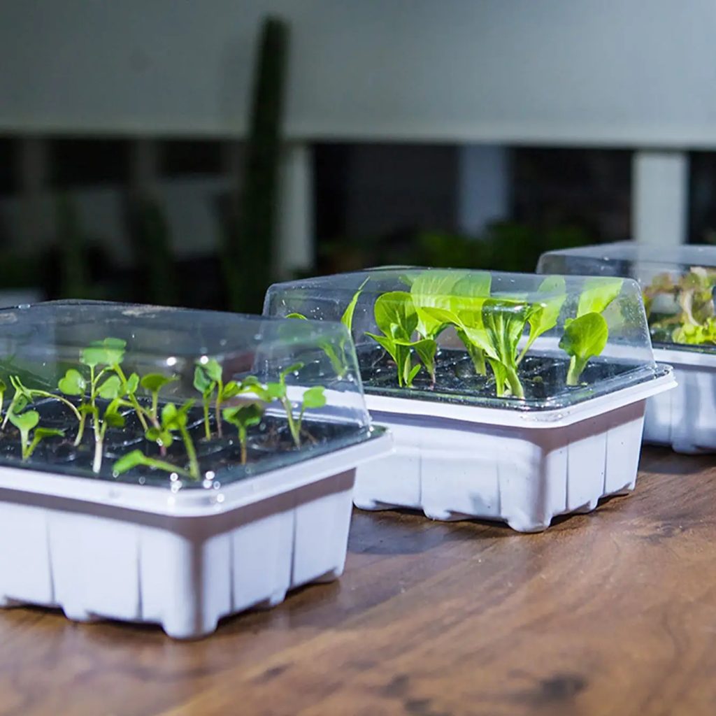 A Comprehensive Guide to Properly Recycling Plastic Nursery Pots