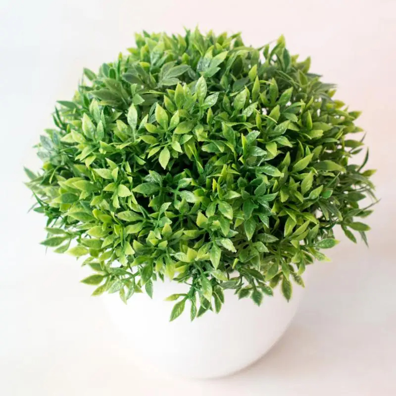 Green grass indoor small plant plastic pots