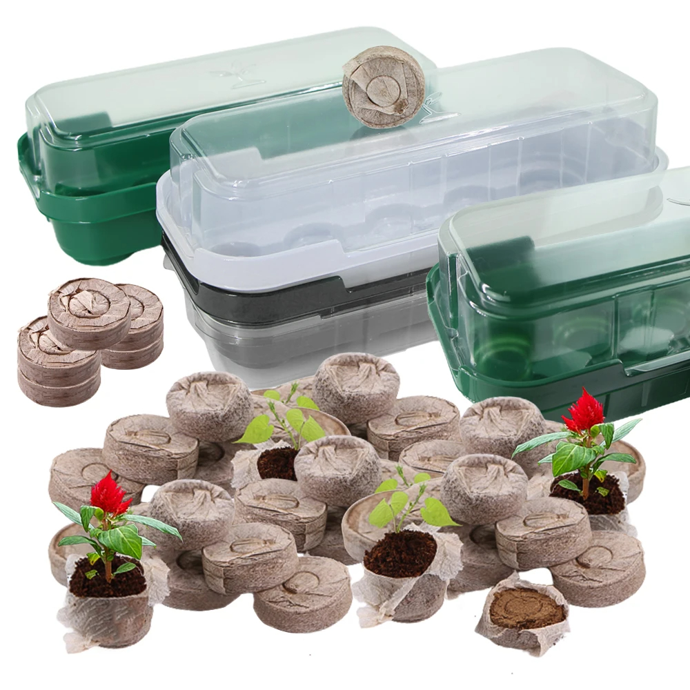 Propagation container ten cell plant plastic nursery pots